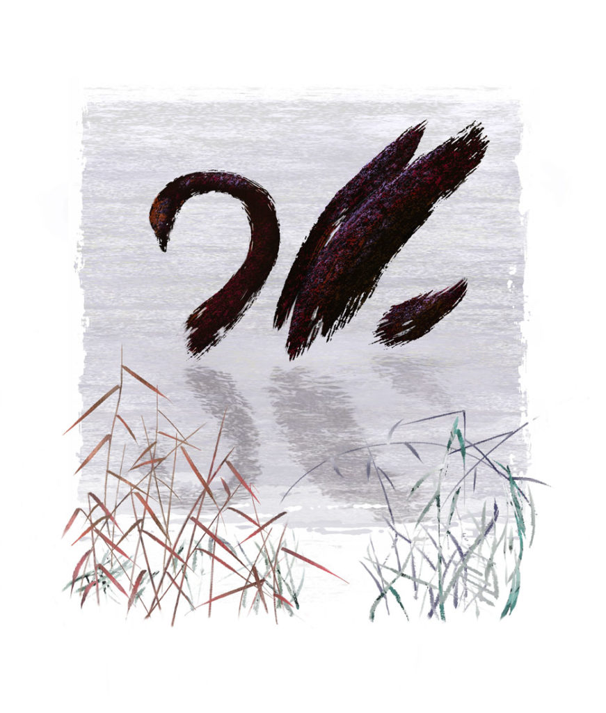 Focus on an EVAN artist: Ray Ogden - EVAN Events